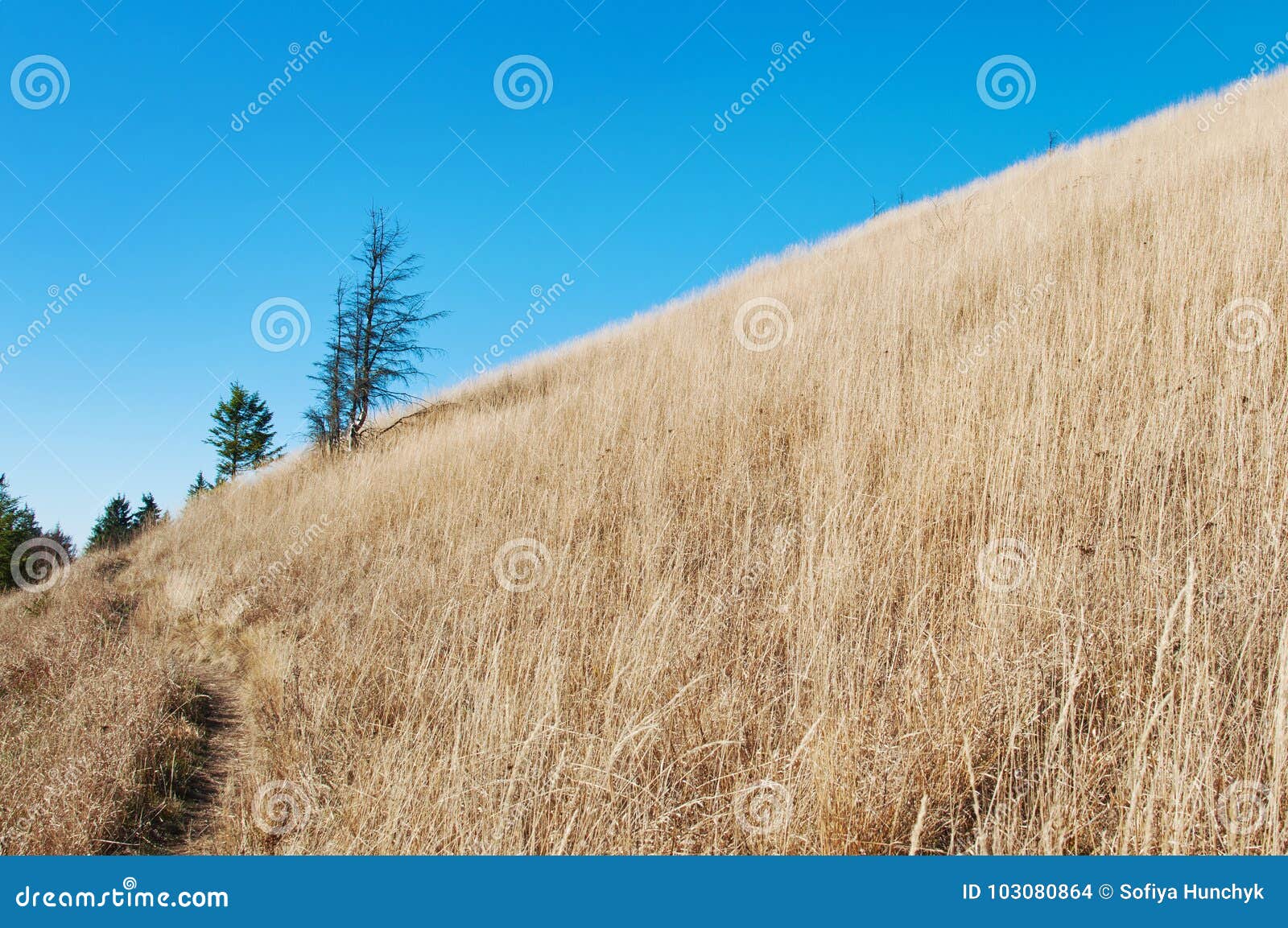A Path in a Barren Desolate Field Stock Photo - Image of hill, mountain ...
