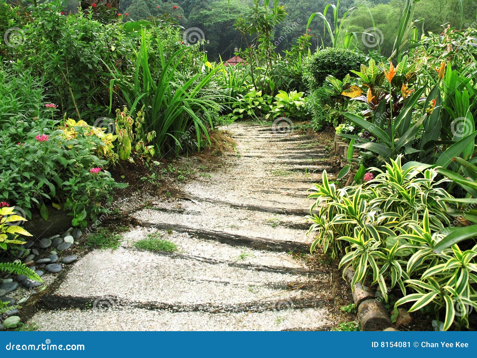 Path in beautiful garden stock image. Image of nature - 8154081