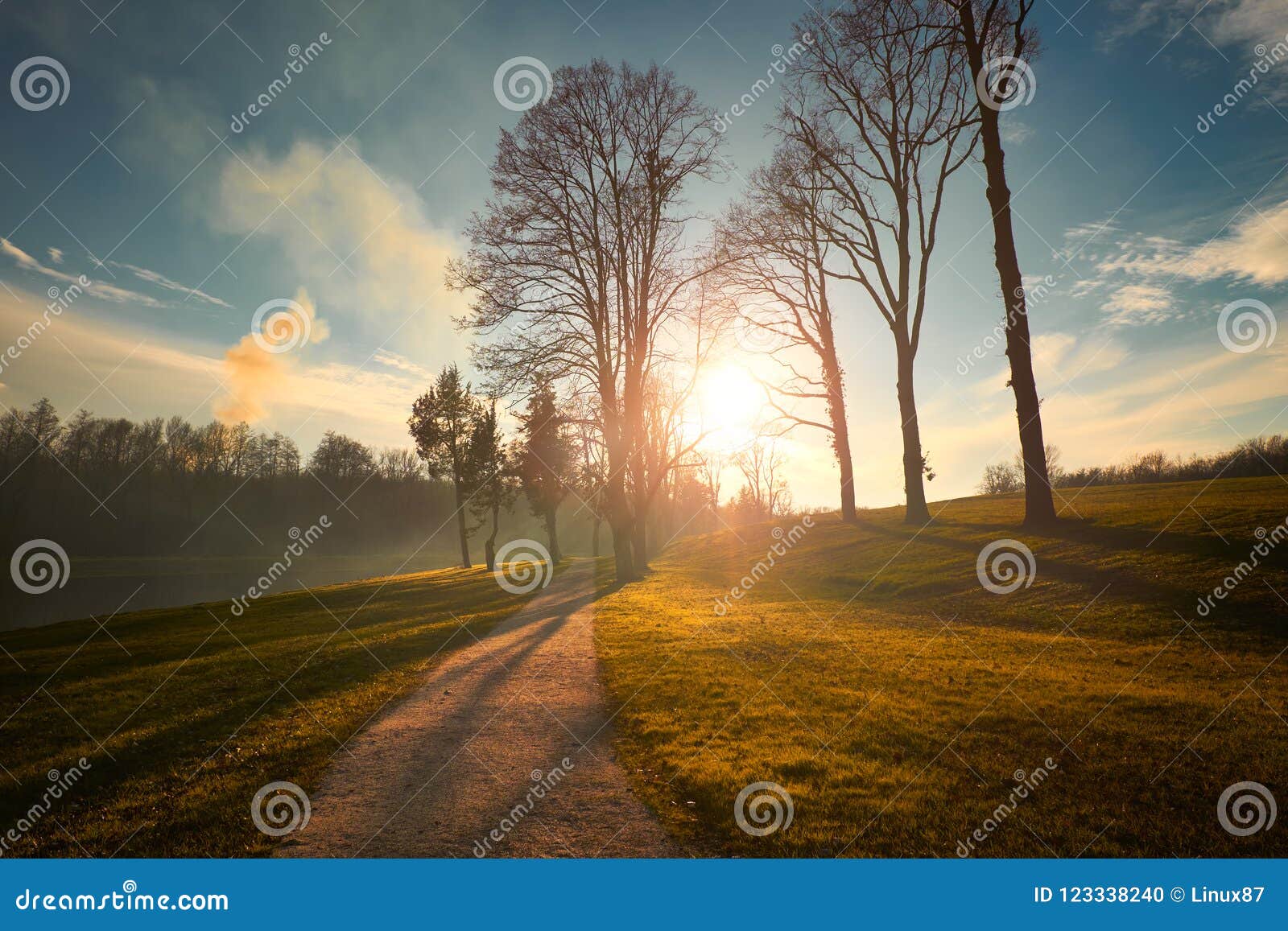 Path Beautiful Park Sunrays Stock Photo - Image of nature, scene: 123338240
