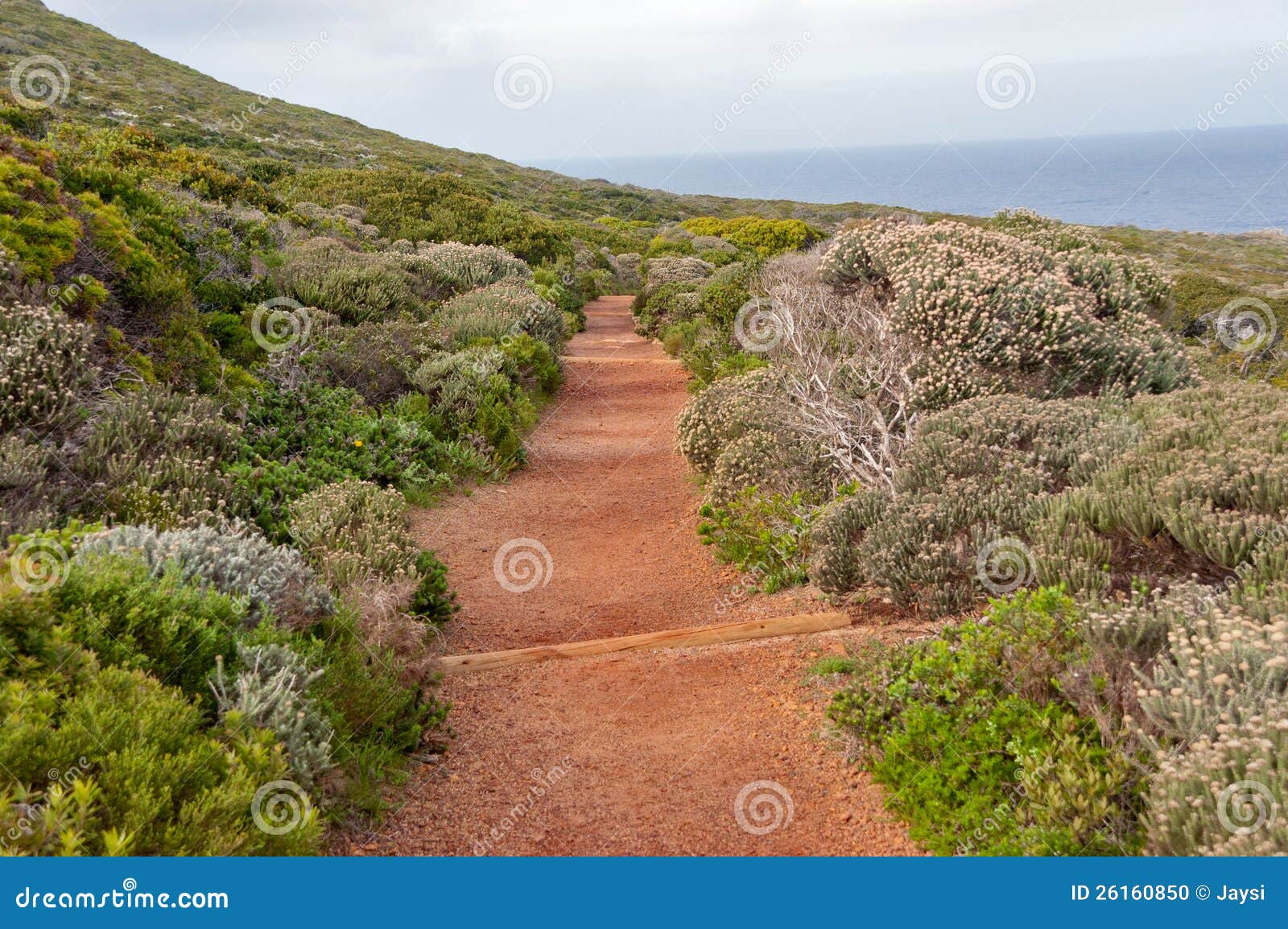 Path with Beautiful Sea View Stock Photo - Image of light, sand: 26160850