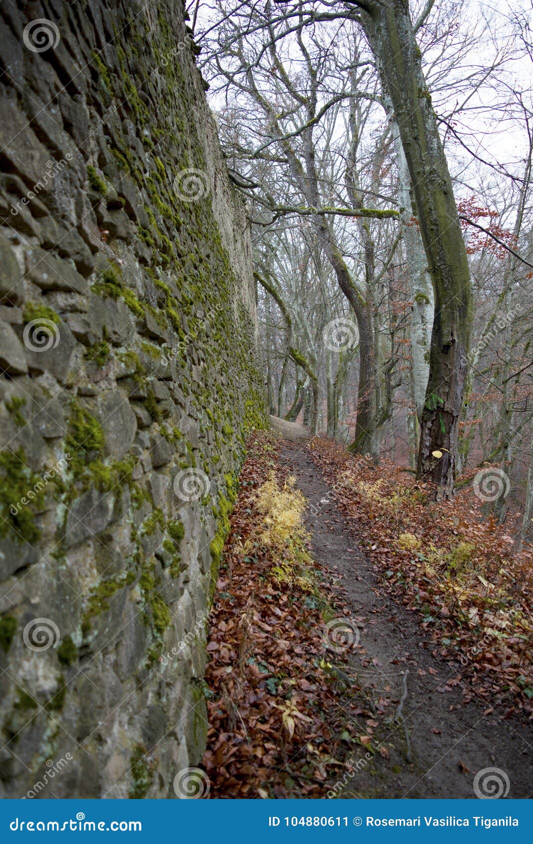Path Behind the Ancient Wall Stock Image - Image of medieval, path ...