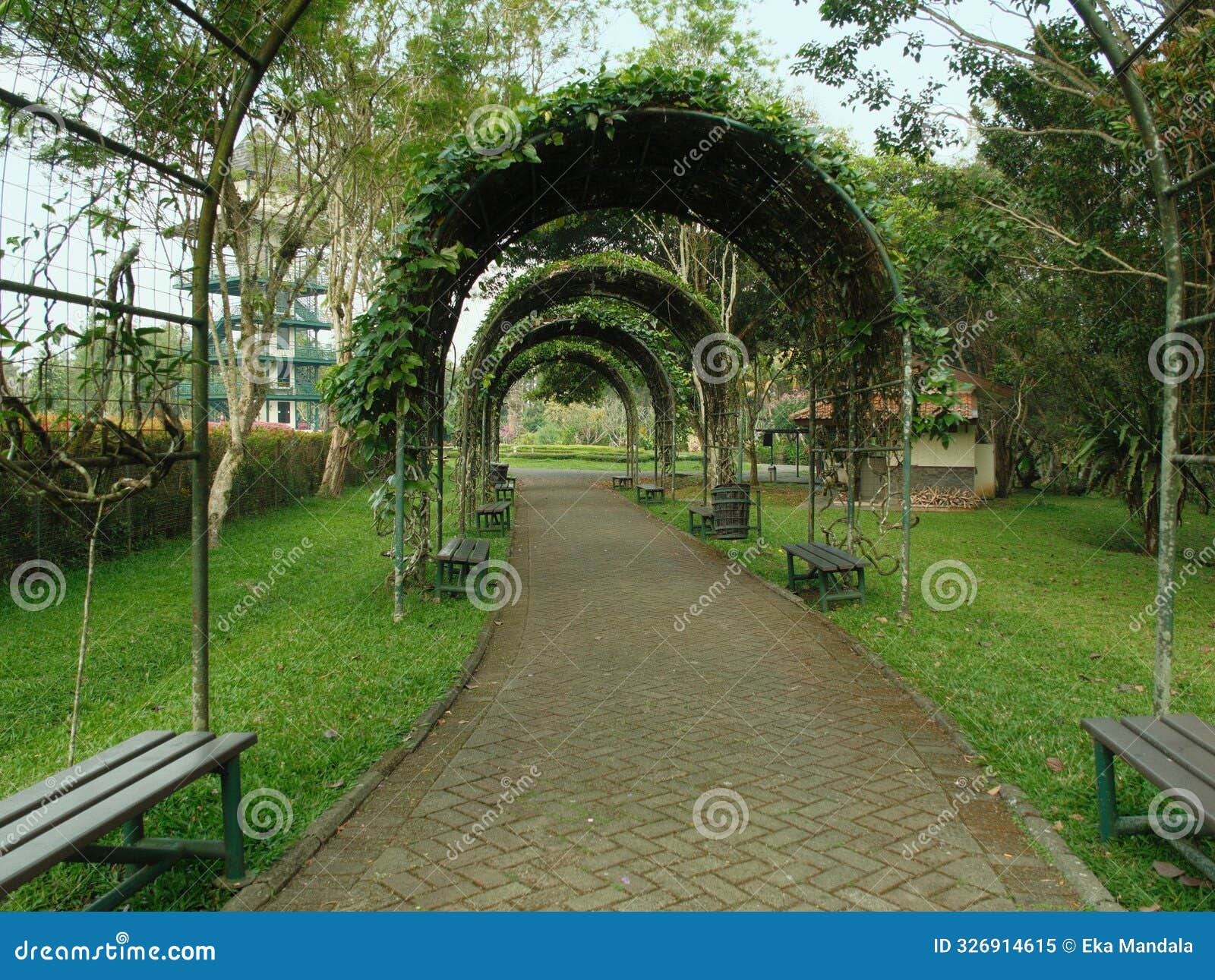 A Path with Benches and a Large Archway Stock Image - Image of blossom ...