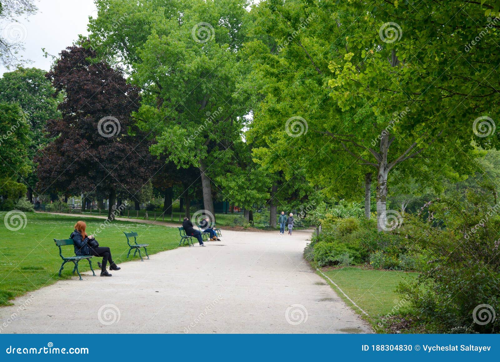 Path with Benches in the Park Stock Photo - Image of scene, tranquil ...