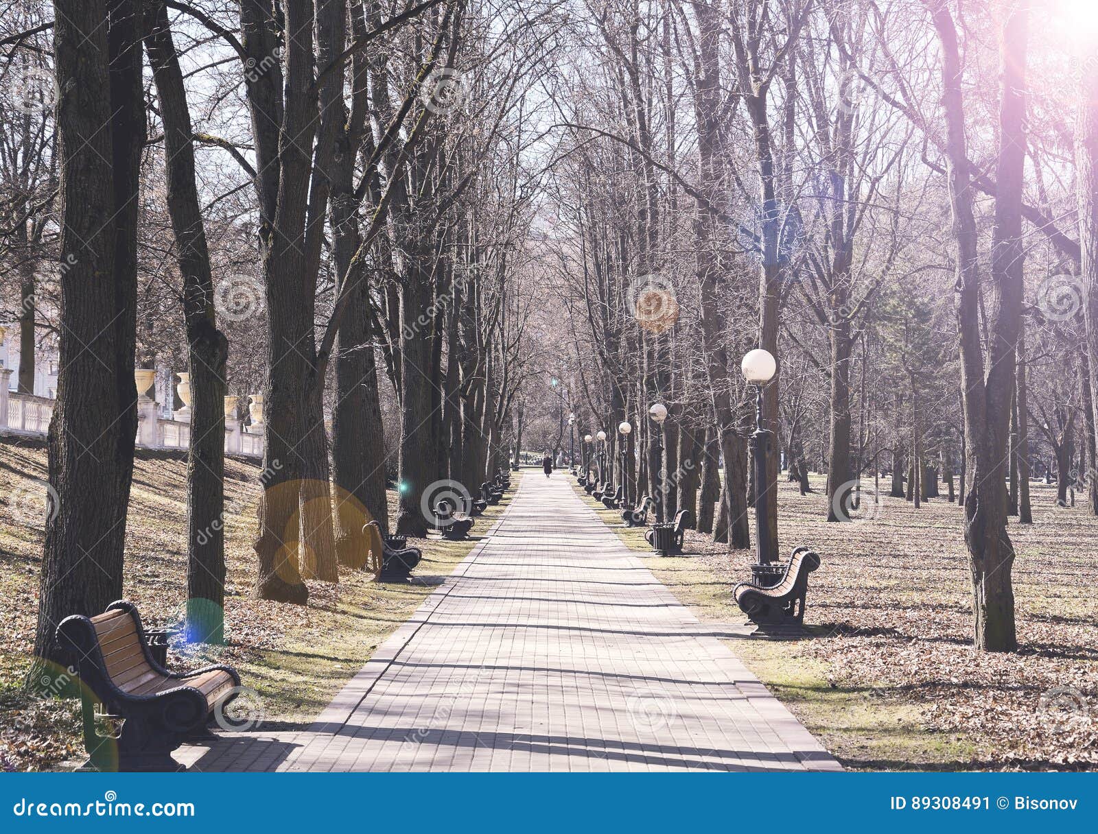 Path with Benches for Rest in the Park Stock Image - Image of beam ...