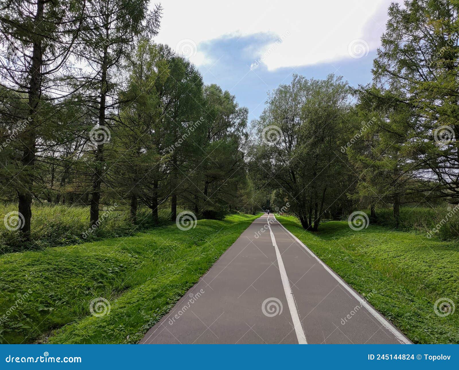 Path with a bike lane stock photo. Image of park, outdoor - 245144824