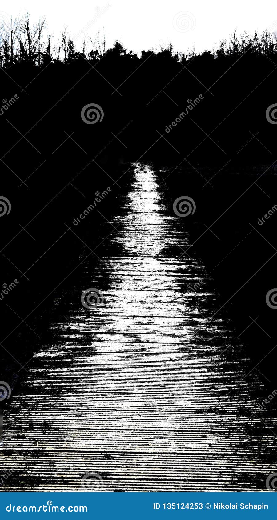 White path in the dark stock image. Image of path, dark - 135124253