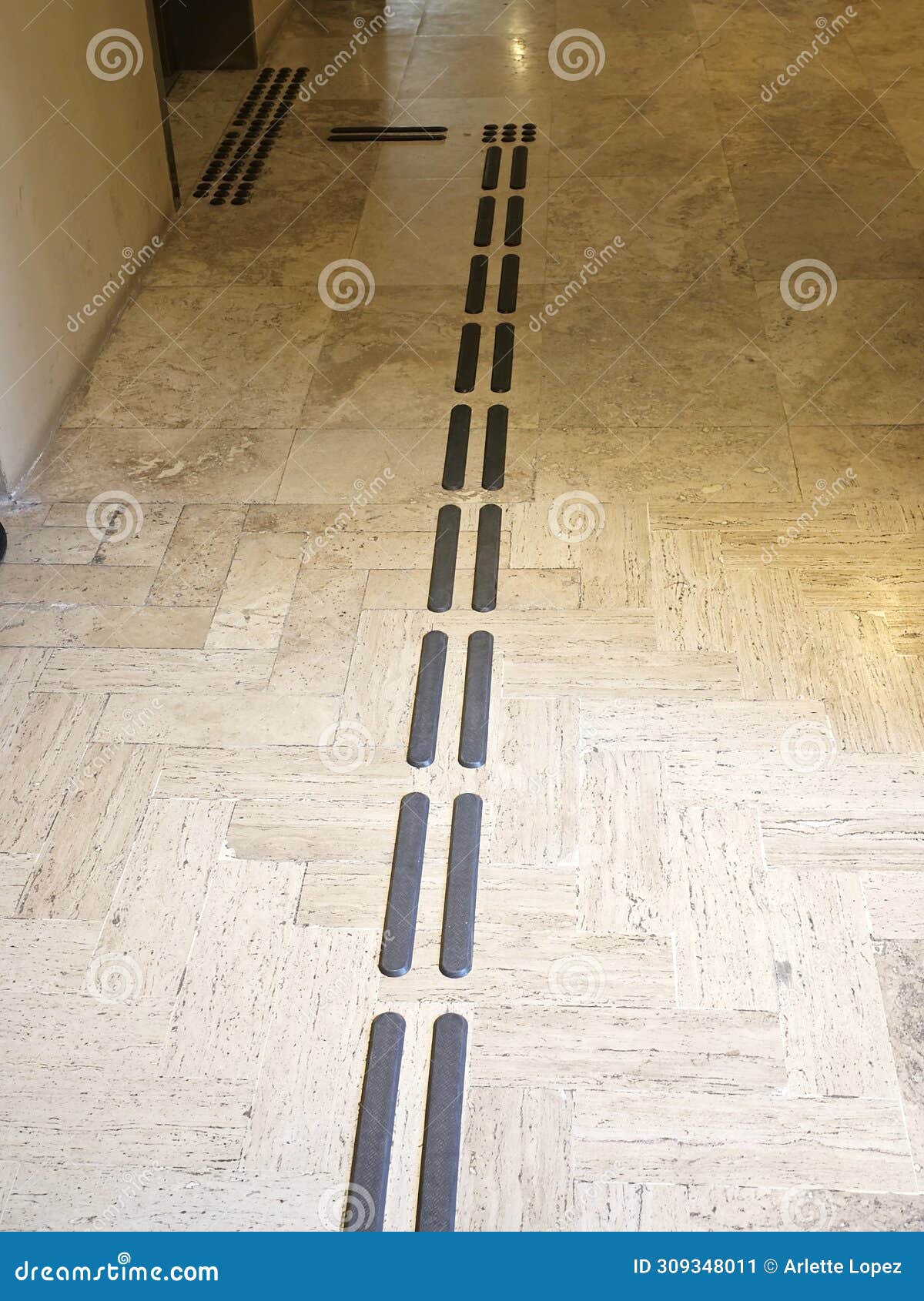 Path for Blind or Low Vision with a Textured Podotactile Surface, Can ...