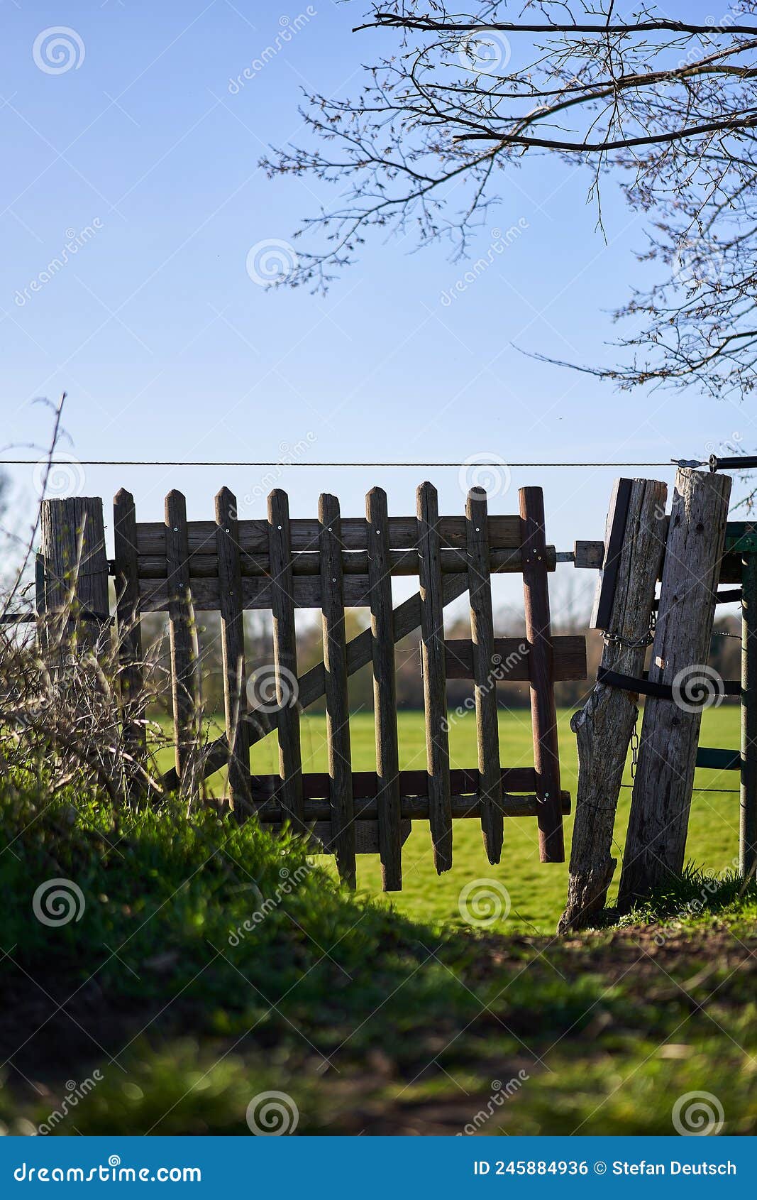 Path blocked by Field Gate stock photo. Image of nature - 245884936