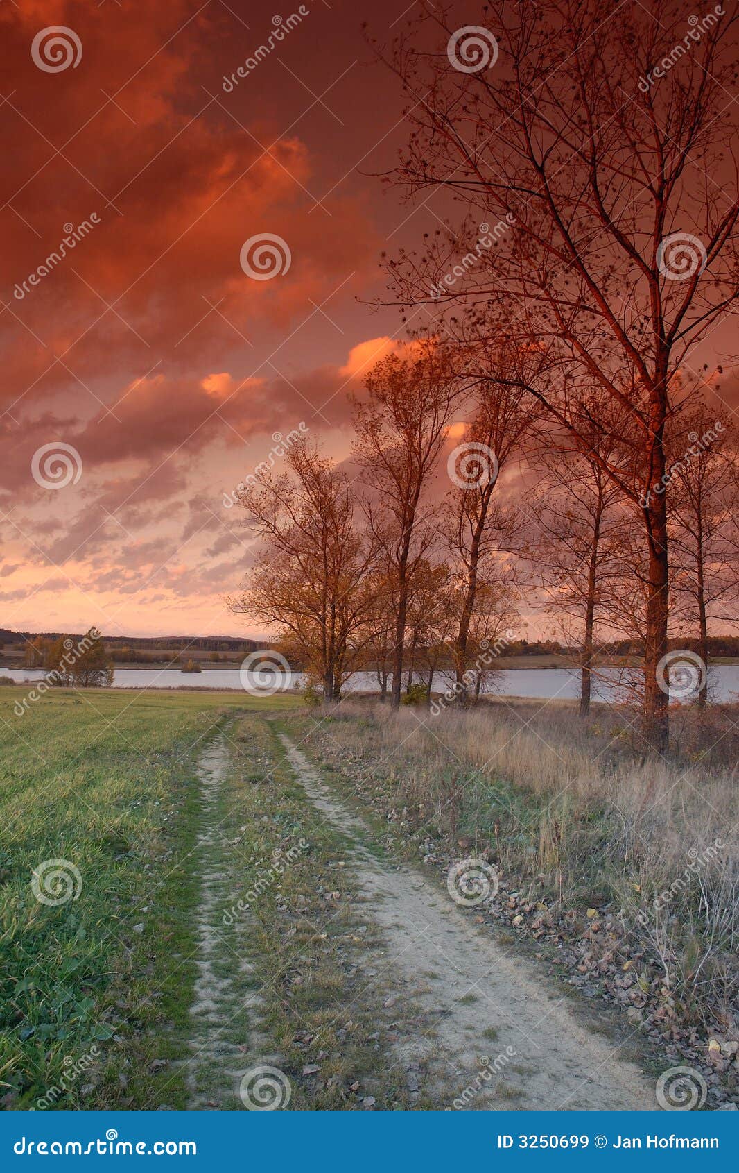 Path And Border. Royalty-Free Stock Image | CartoonDealer.com #7098652