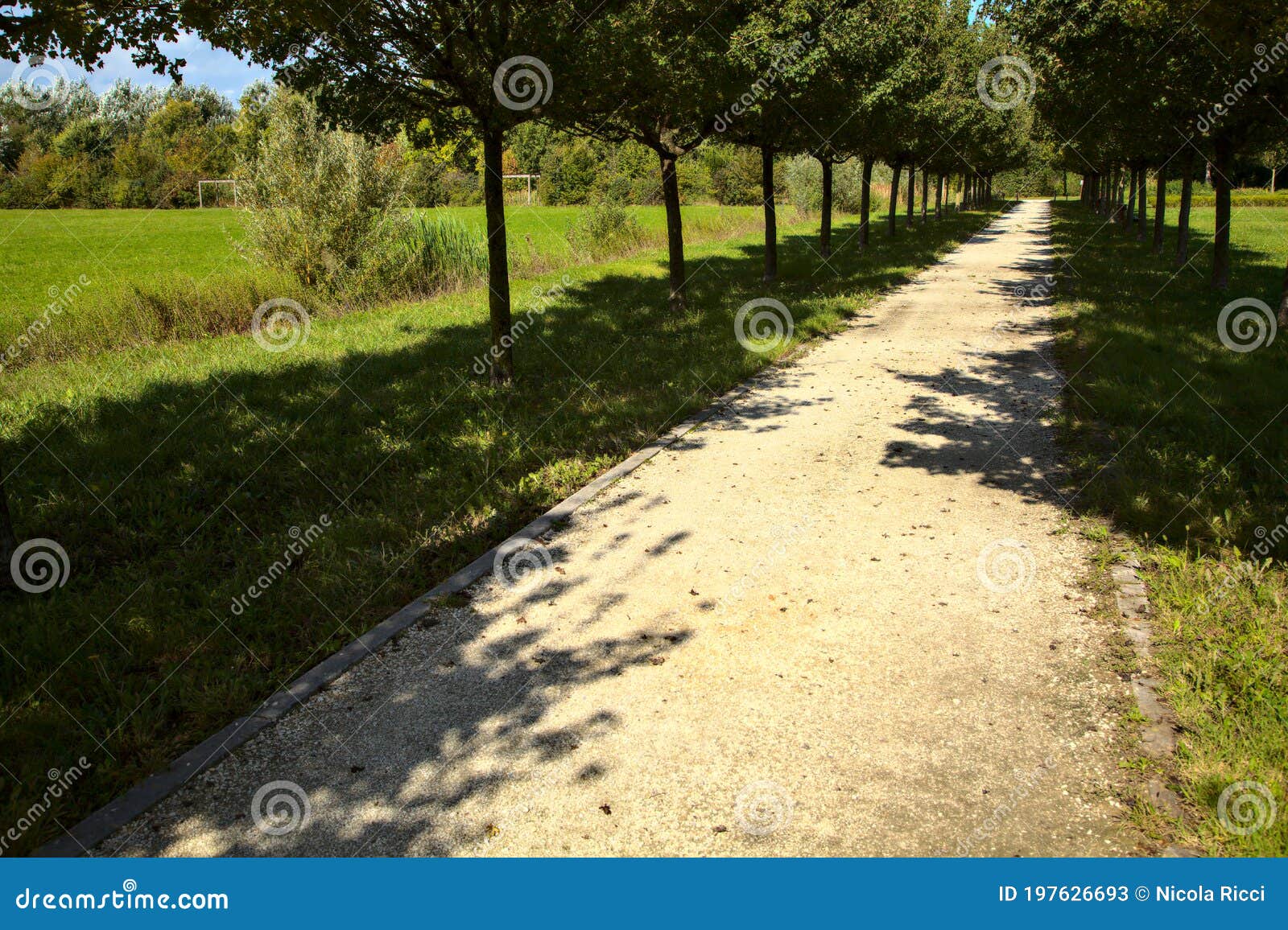 Path Bordered by Trees in a Park in the Countryside in Autumn Stock ...