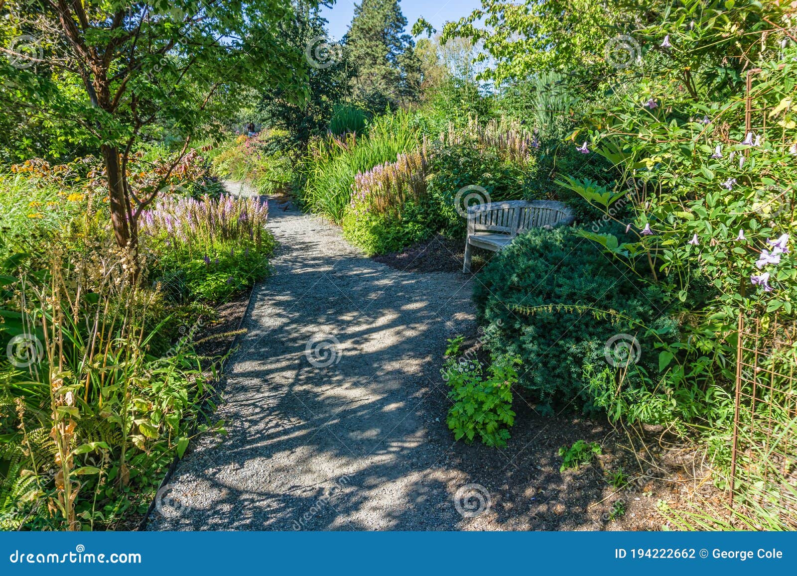Botanical Garden Path 3 stock photo. Image of walkway - 194222662