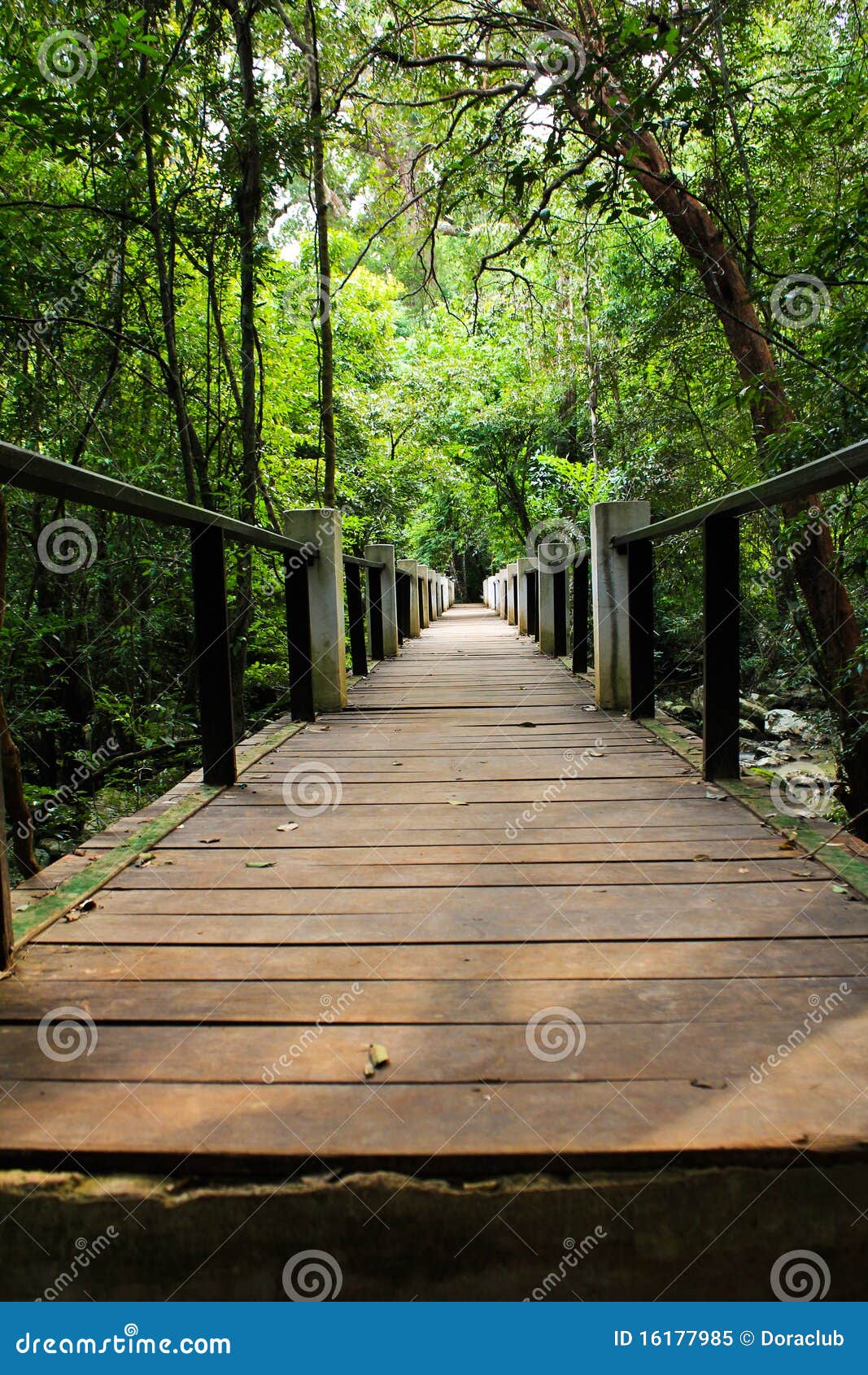 Path bridge stock image. Image of green, outside, path - 16177985