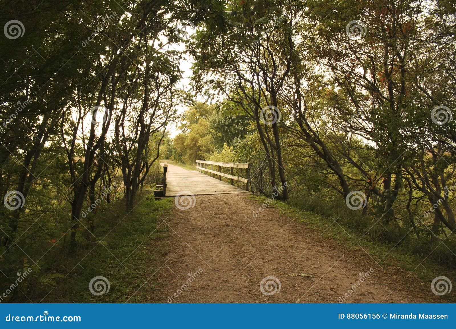Path with Bridge Photo stock photo. Image of scenic, trees - 88056156