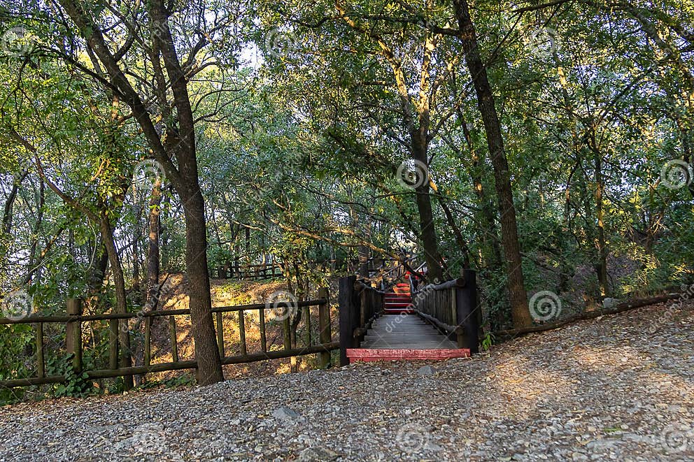 Path from the Bridge To the Viewpoint Stock Image - Image of tree ...