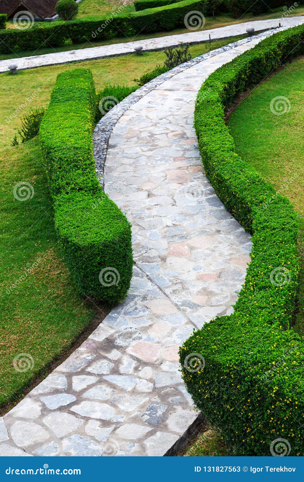 Path and bushes in park stock image. Image of growth - 131827563