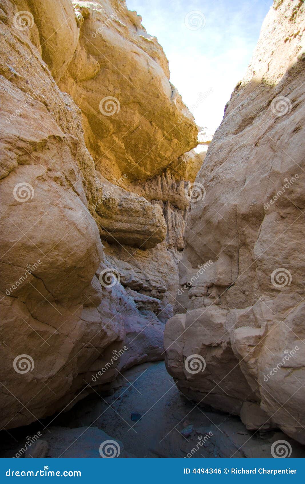 Path in California Canyon stock photo. Image of close - 4494346