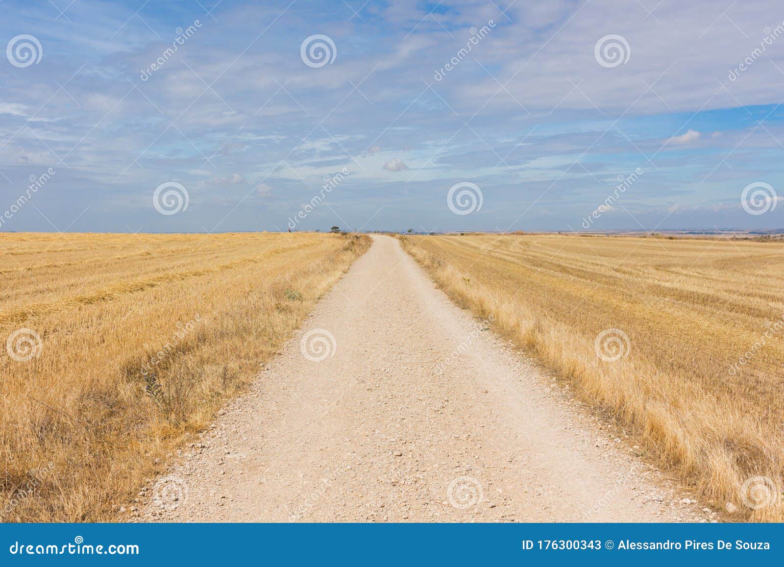 Path in the Camino De Santiago, Spain. Stock Image - Image of camino ...