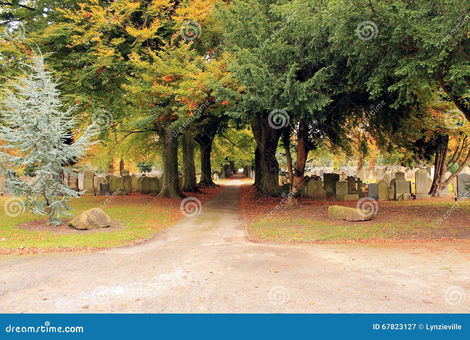 Path through Cemetery Under a Canopy of Trees Stock Image - Image of ...