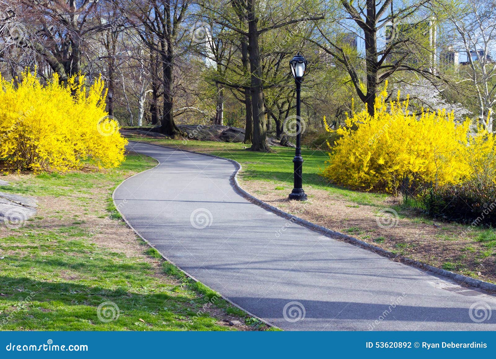 Path through Central Park in New York Stock Photo - Image of leaves ...