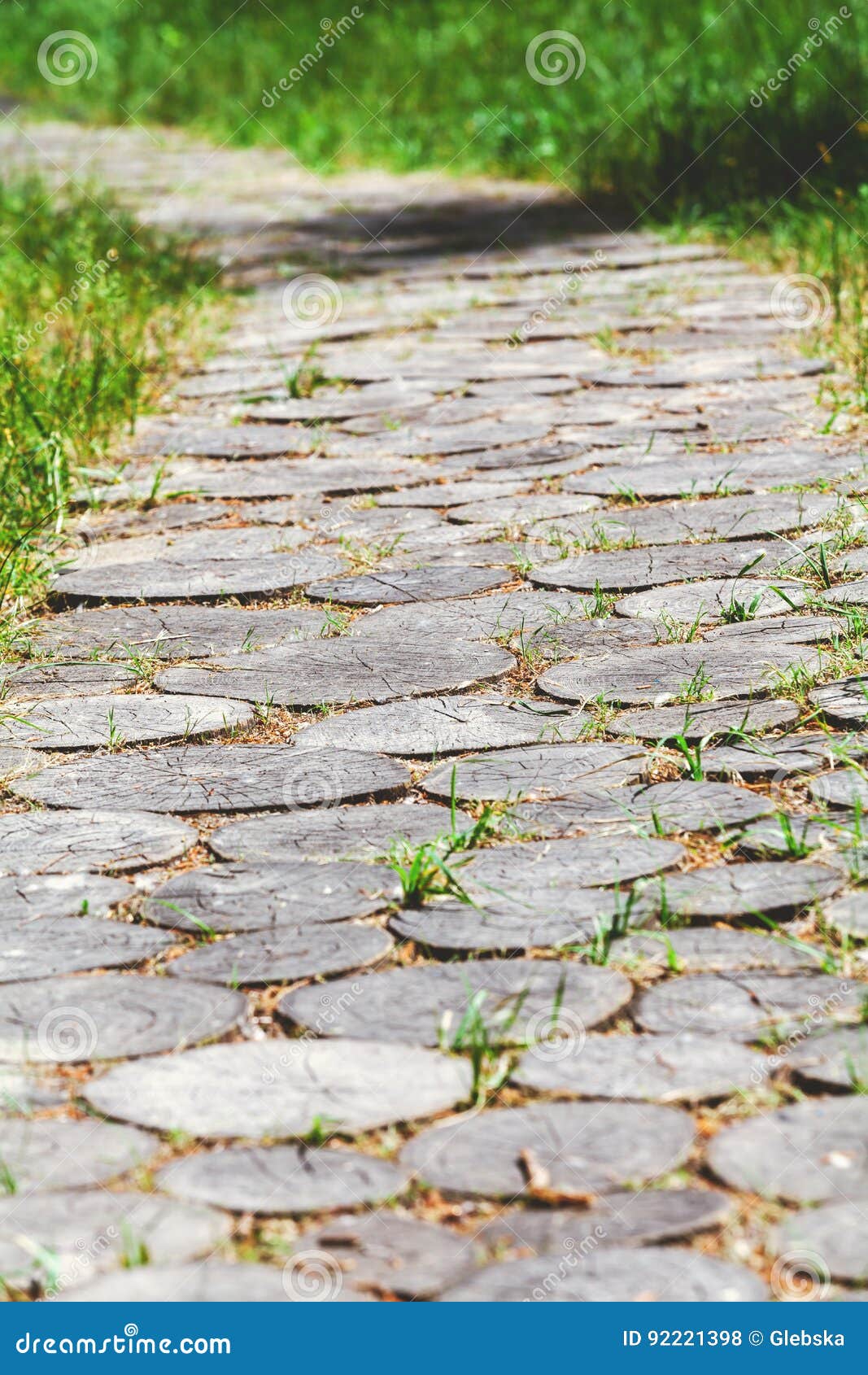 Path of Circumcision of Round Logs Stock Photo - Image of walking, path ...