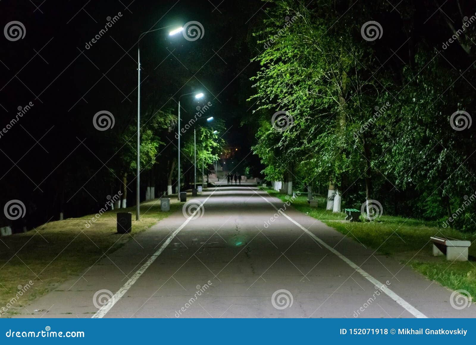 Path through City Park at Night with Street Lamps Stock Photo - Image ...
