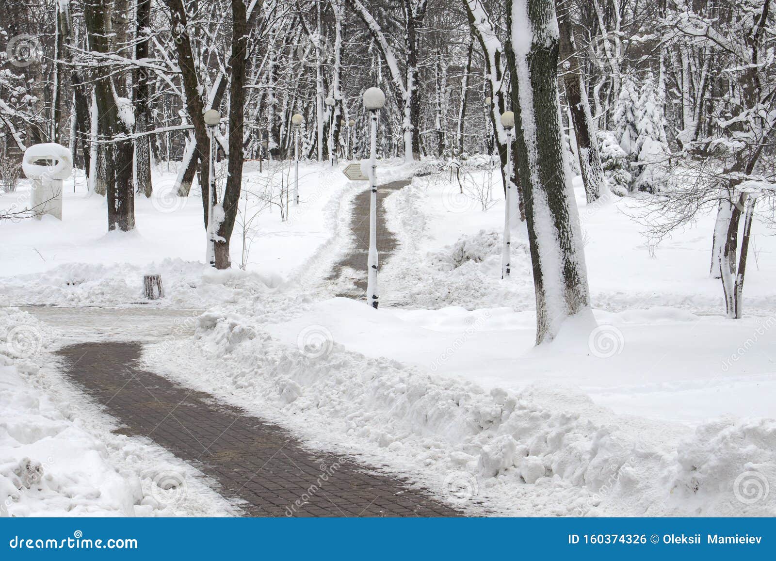 A Path Cleared of Snow Passes through the Topography of a Park Covered ...