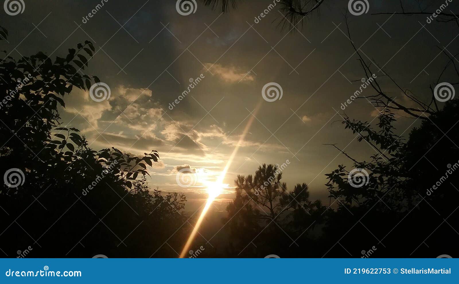 A Path Clearing through Forest Trees of an Animated Sunset. Stock Image ...
