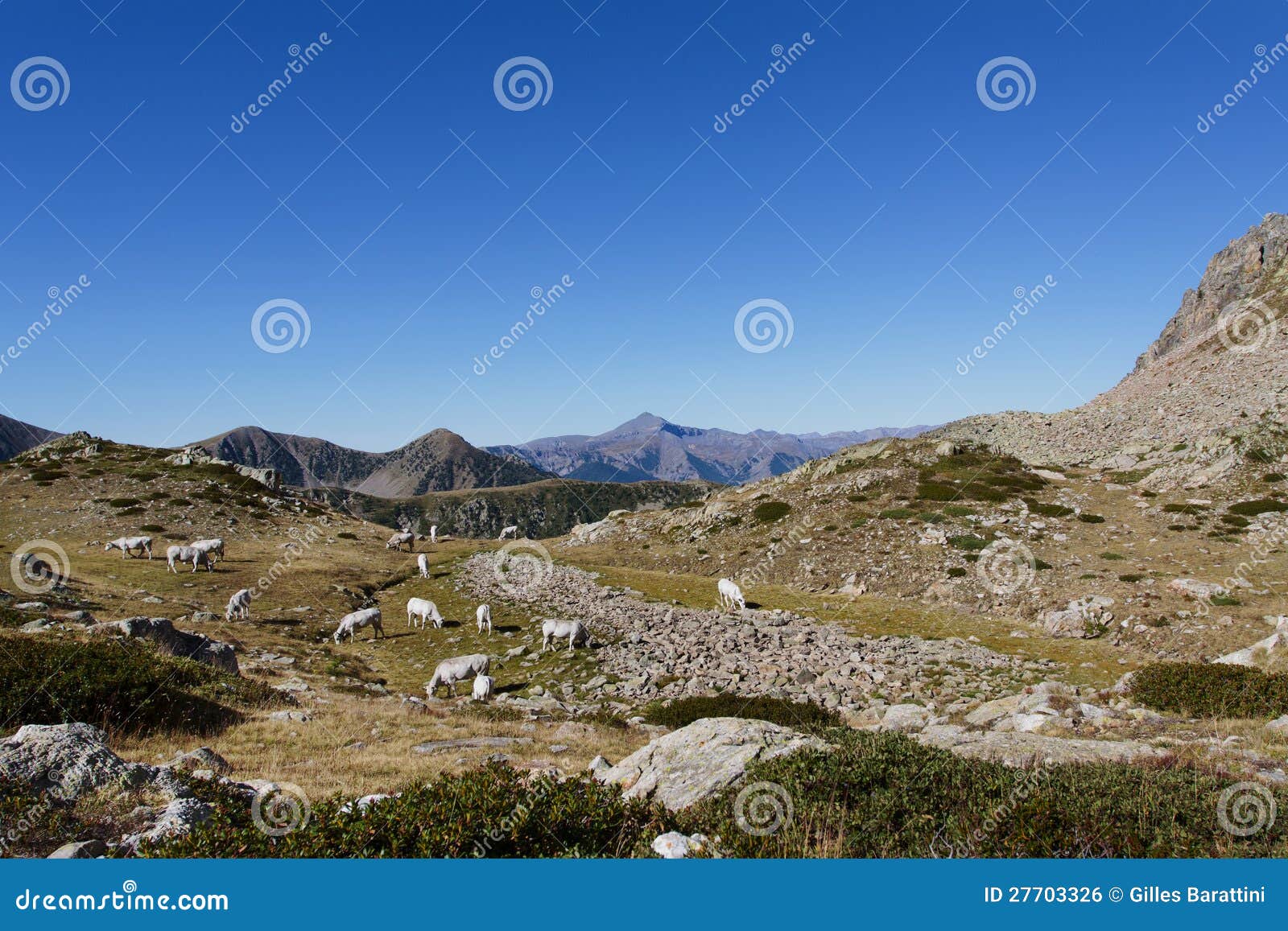 Path of the Collar of the Death Man, Italy Stock Photo - Image of ride ...
