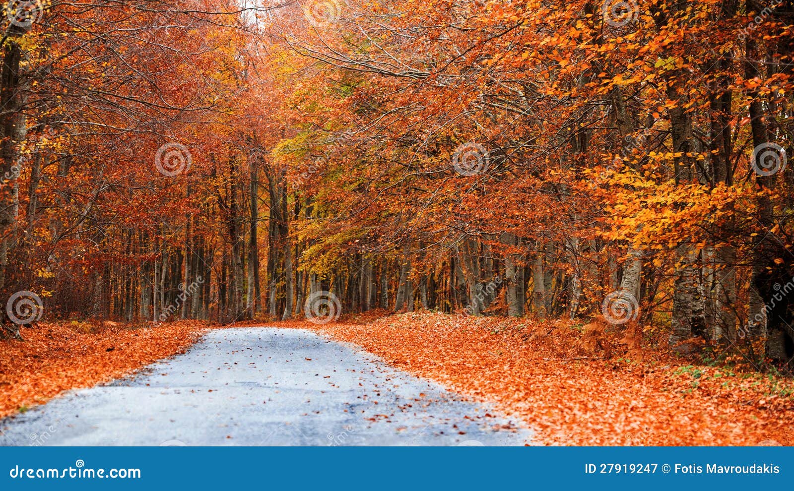 Path of colors stock image. Image of ecology, fall, autumnal - 27919247