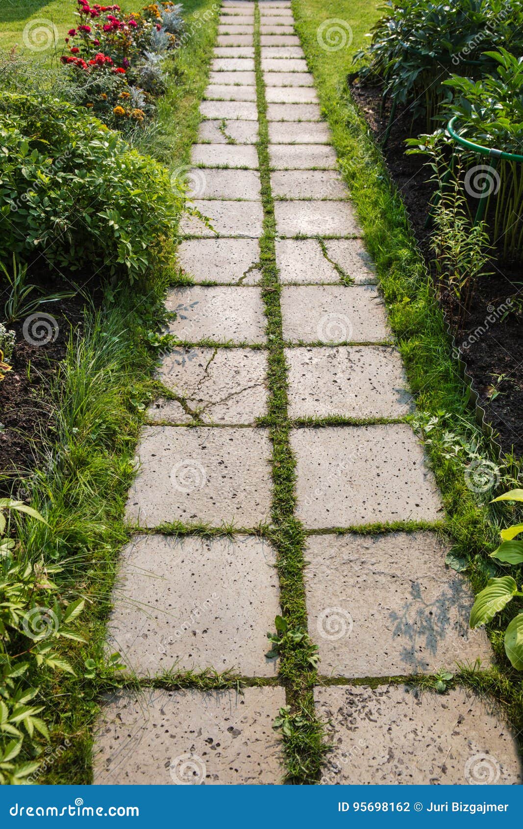 Path of Concrete Tiles in Garden Stock Photo - Image of construction ...