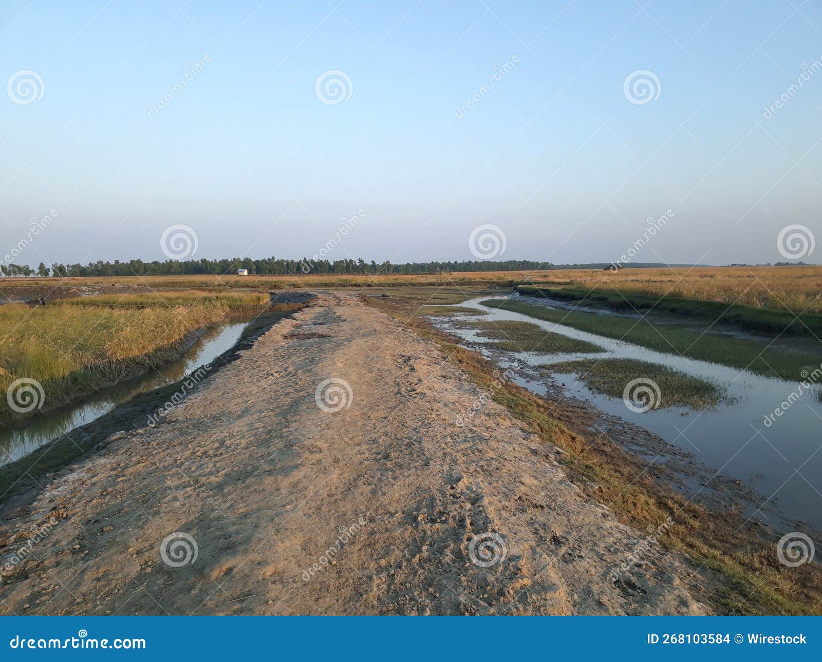 Path in a Country Area with Rivers and Fields Around Stock Photo ...