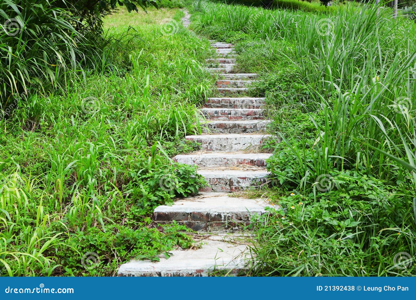 Path in country side stock photo. Image of mount, track - 21392438