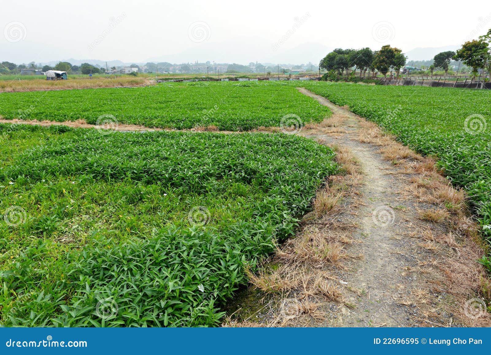 Path in country side stock image. Image of highland, road - 22696595