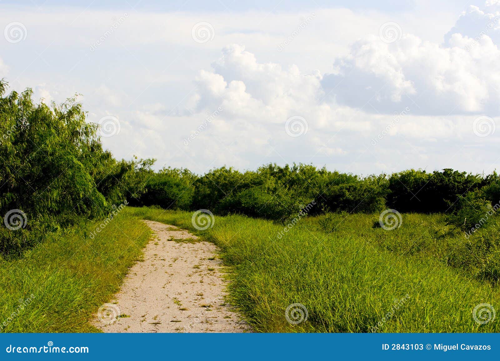 Path through countryside stock image. Image of pathway - 2843103