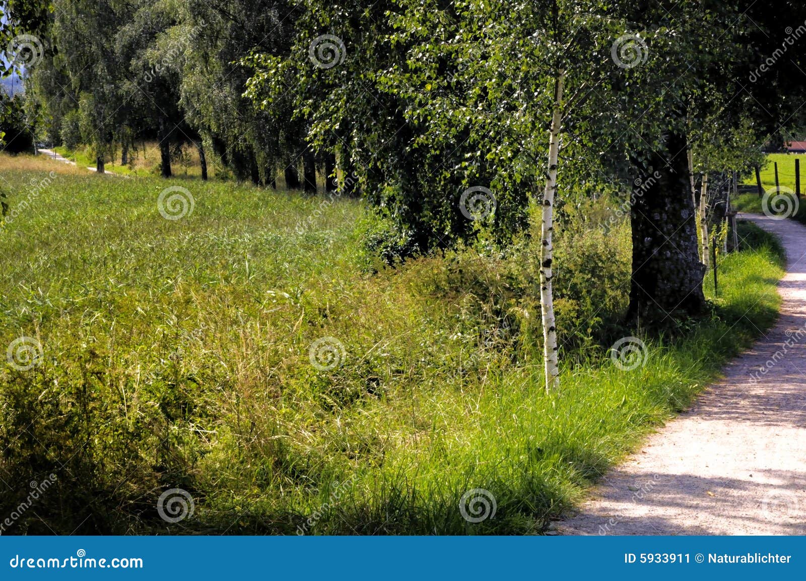 Path through countryside stock image. Image of scenic - 5933911