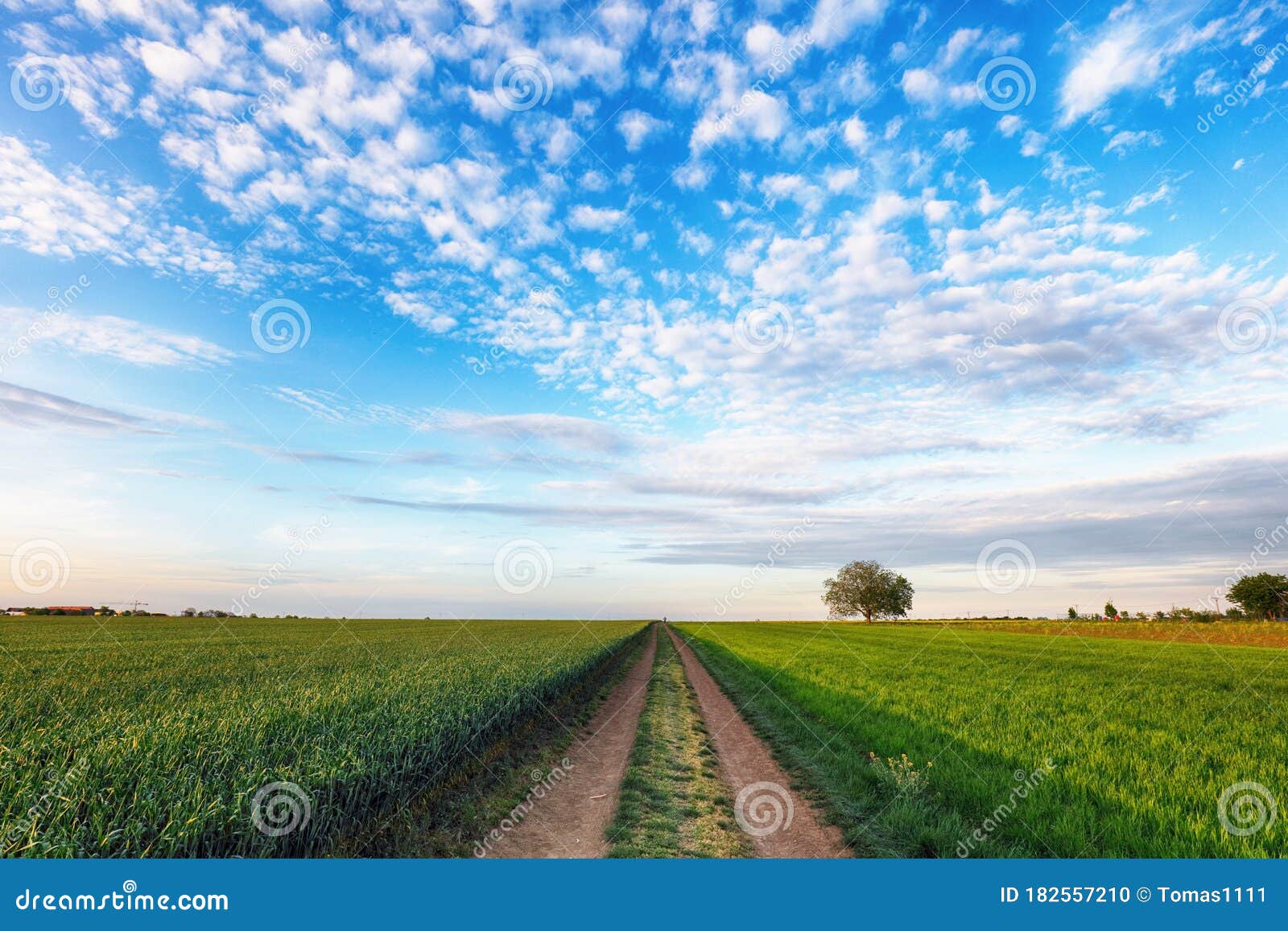 Path in Countryside with Green Field Stock Photo - Image of landscape ...