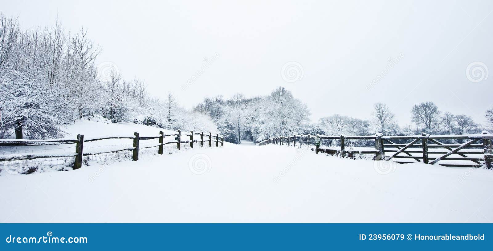 Path through Countryside in Winter with Snow Stock Image - Image of ...