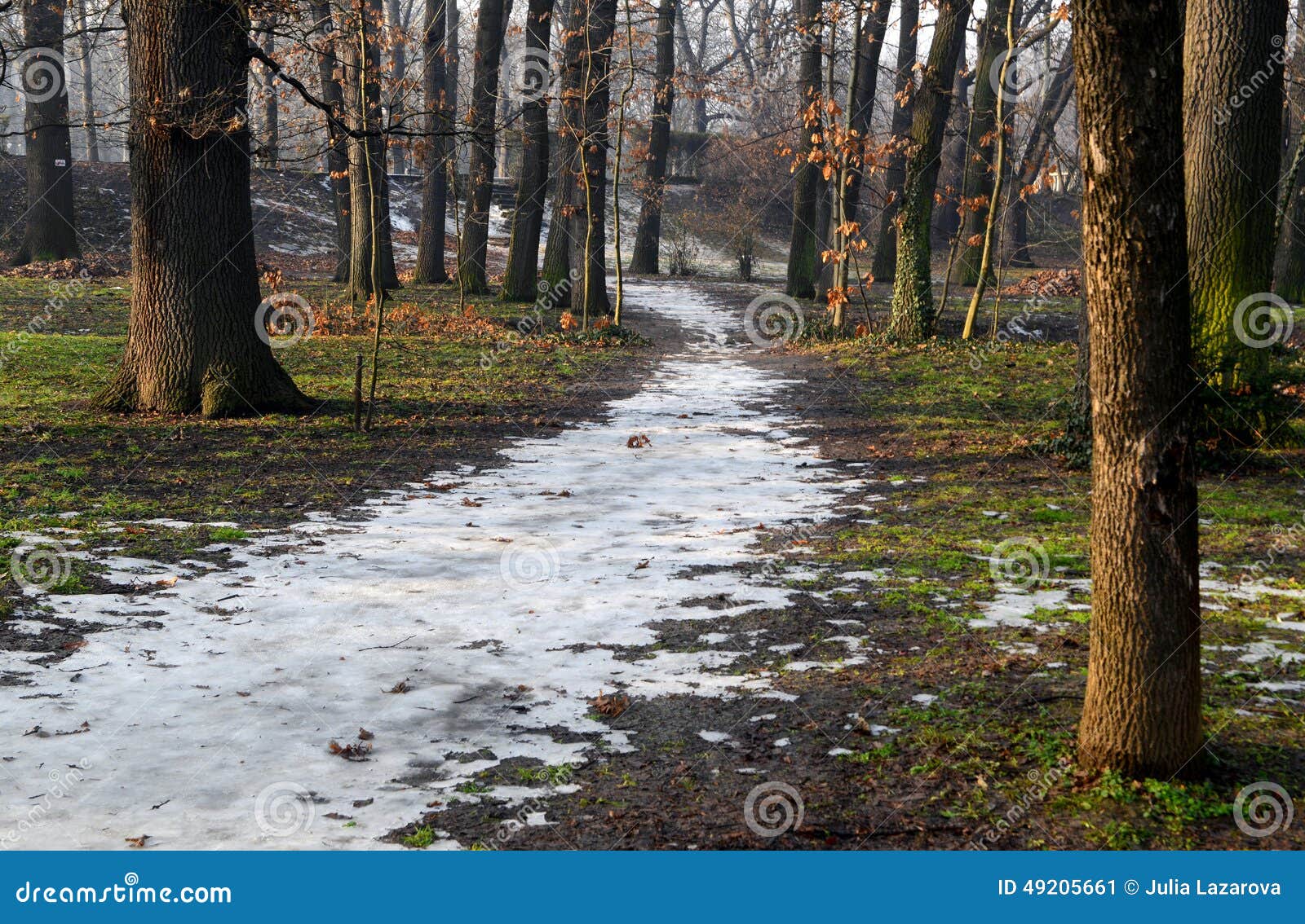 Path Covered with Snow in a Forest in Spring January 21, 2015 Stock ...