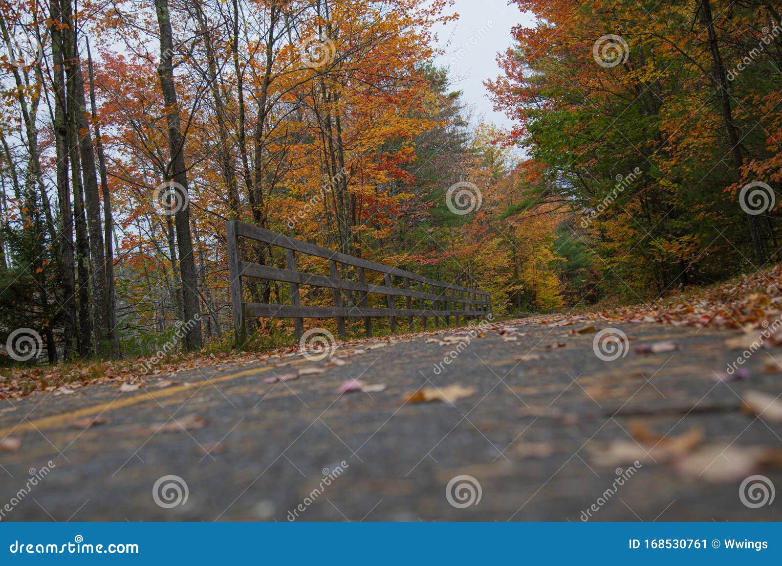 Path with a Crooked Horizon Stock Image - Image of autumn, path: 168530761