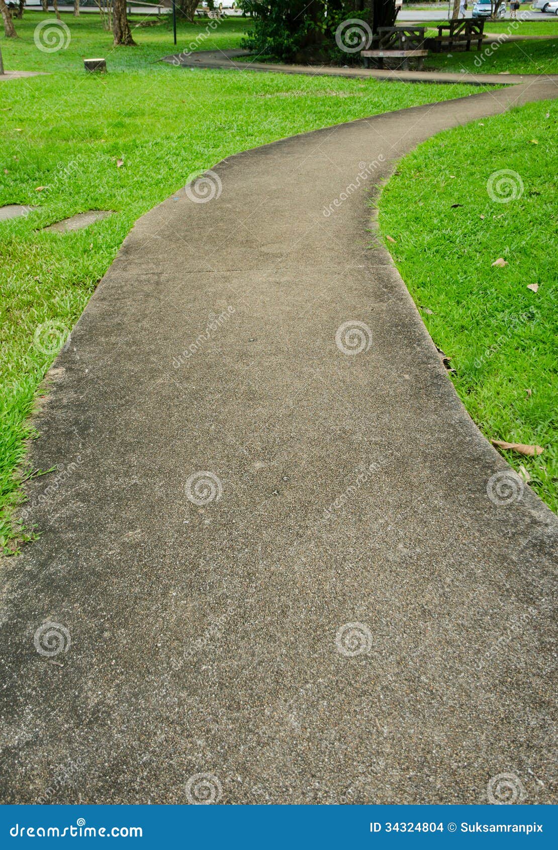 Path Curving through Lawn in Park Stock Photo - Image of landscaper ...