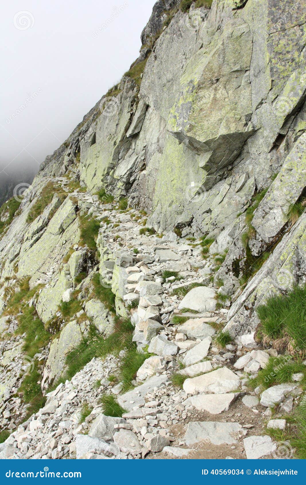 Path stock photo. Image of natural, scene, beautiful - 40569034