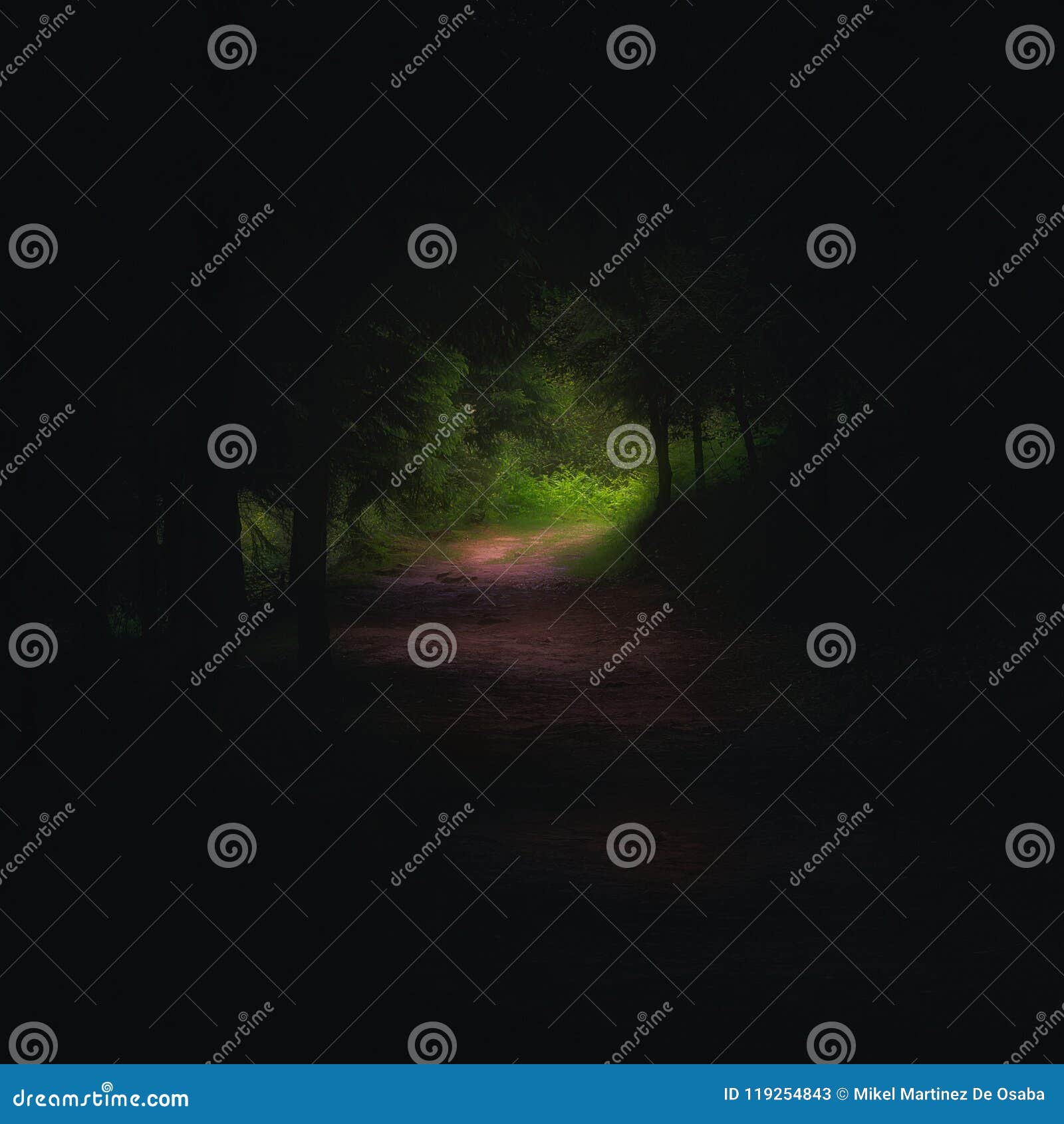 Path in Dark Forest with Light at the End Stock Image - Image of black ...