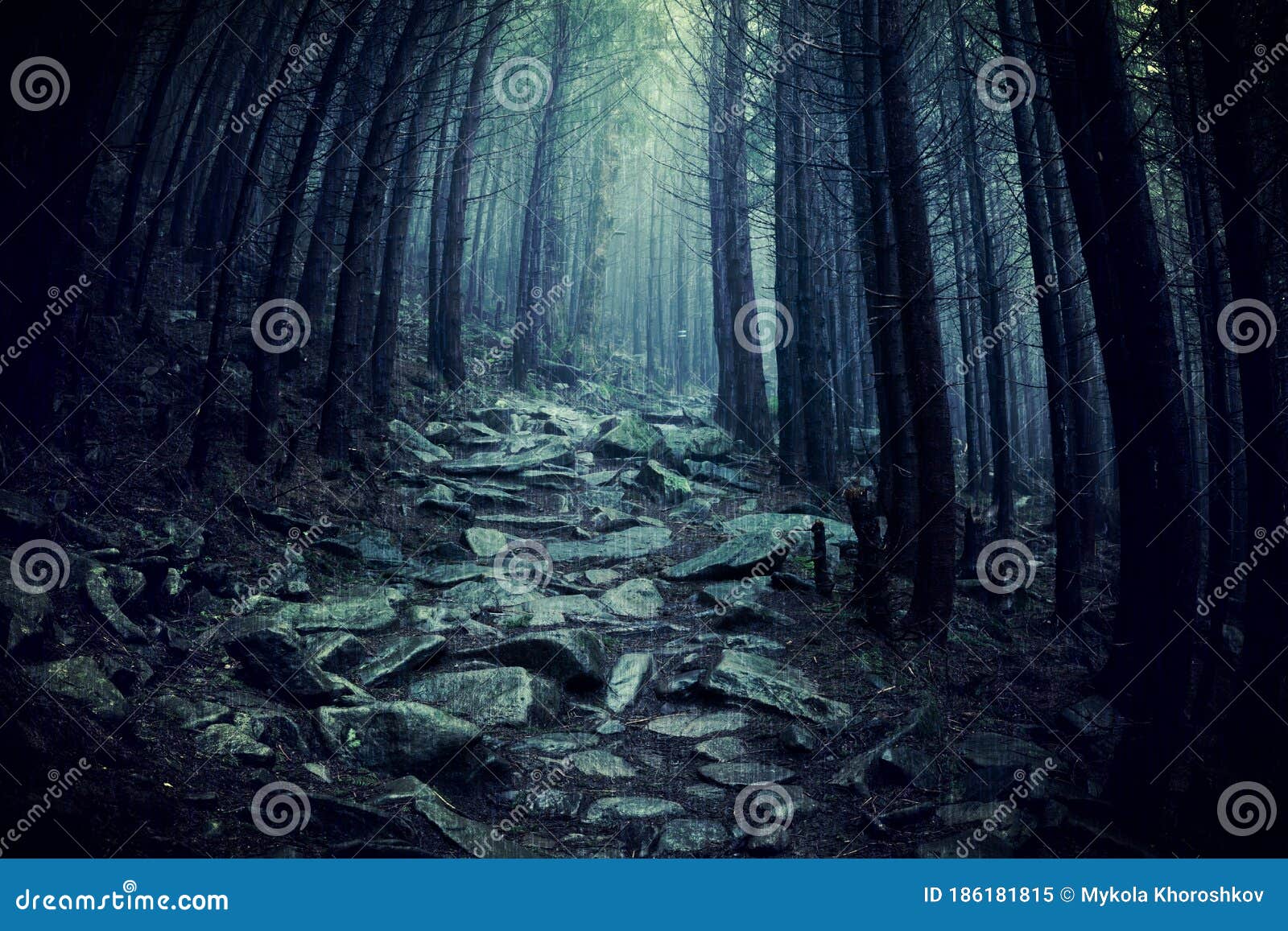 Path through a Dark Forest. Stock Image - Image of background, forest ...