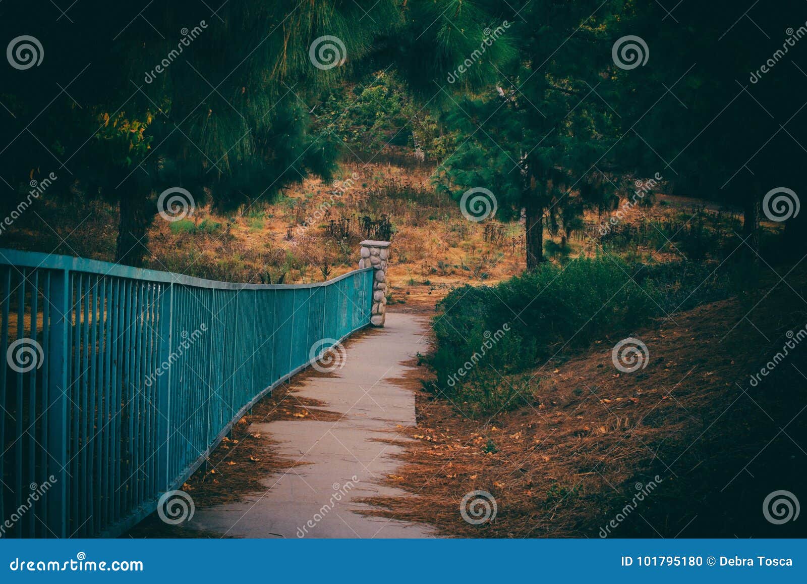 Path stock photo. Image of path, turquoise, park, metal - 101795180