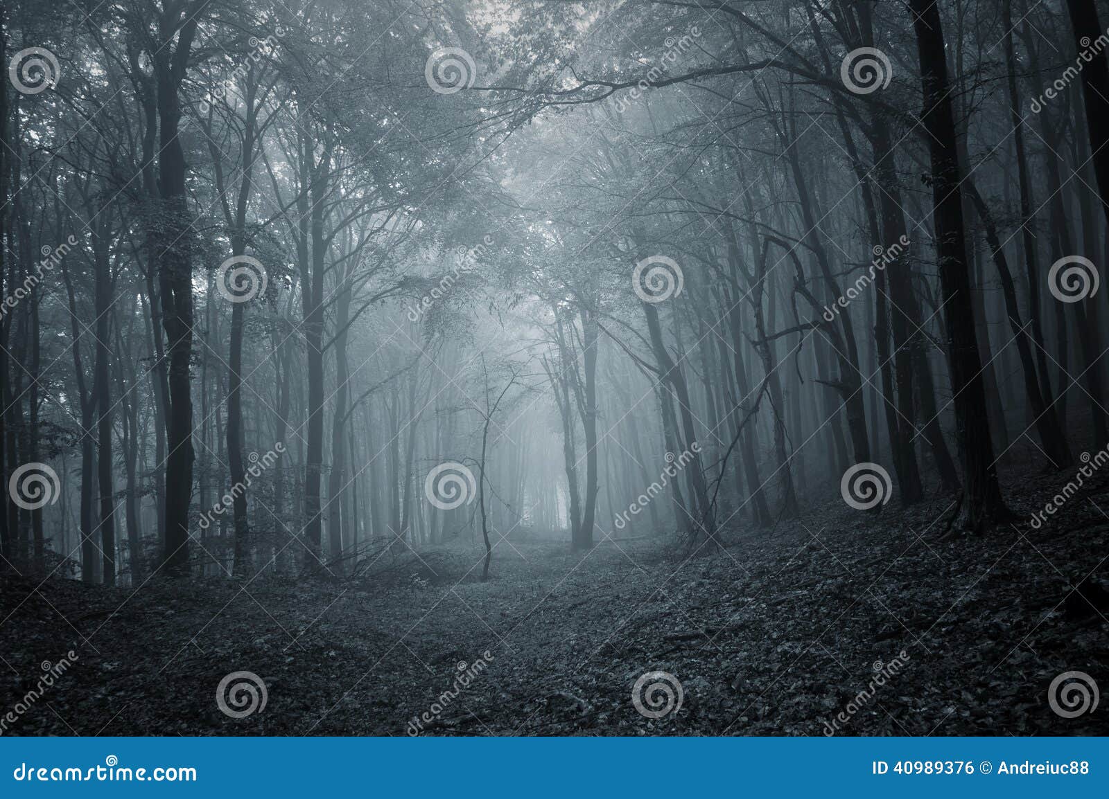 Path in a Dark Mysterious Forest with Fog Stock Photo - Image of color ...