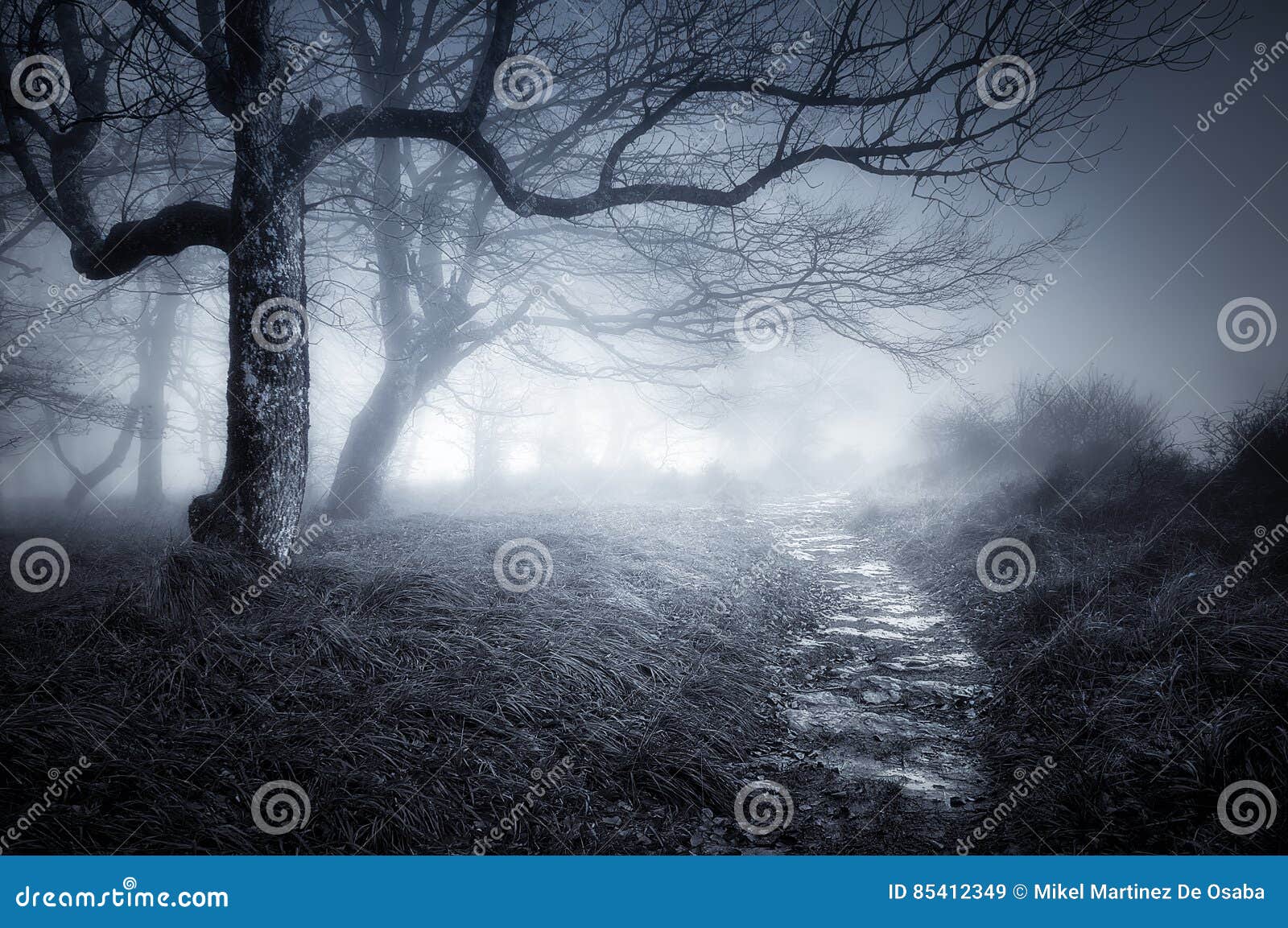 Scary Stock Photography | CartoonDealer.com #13478900