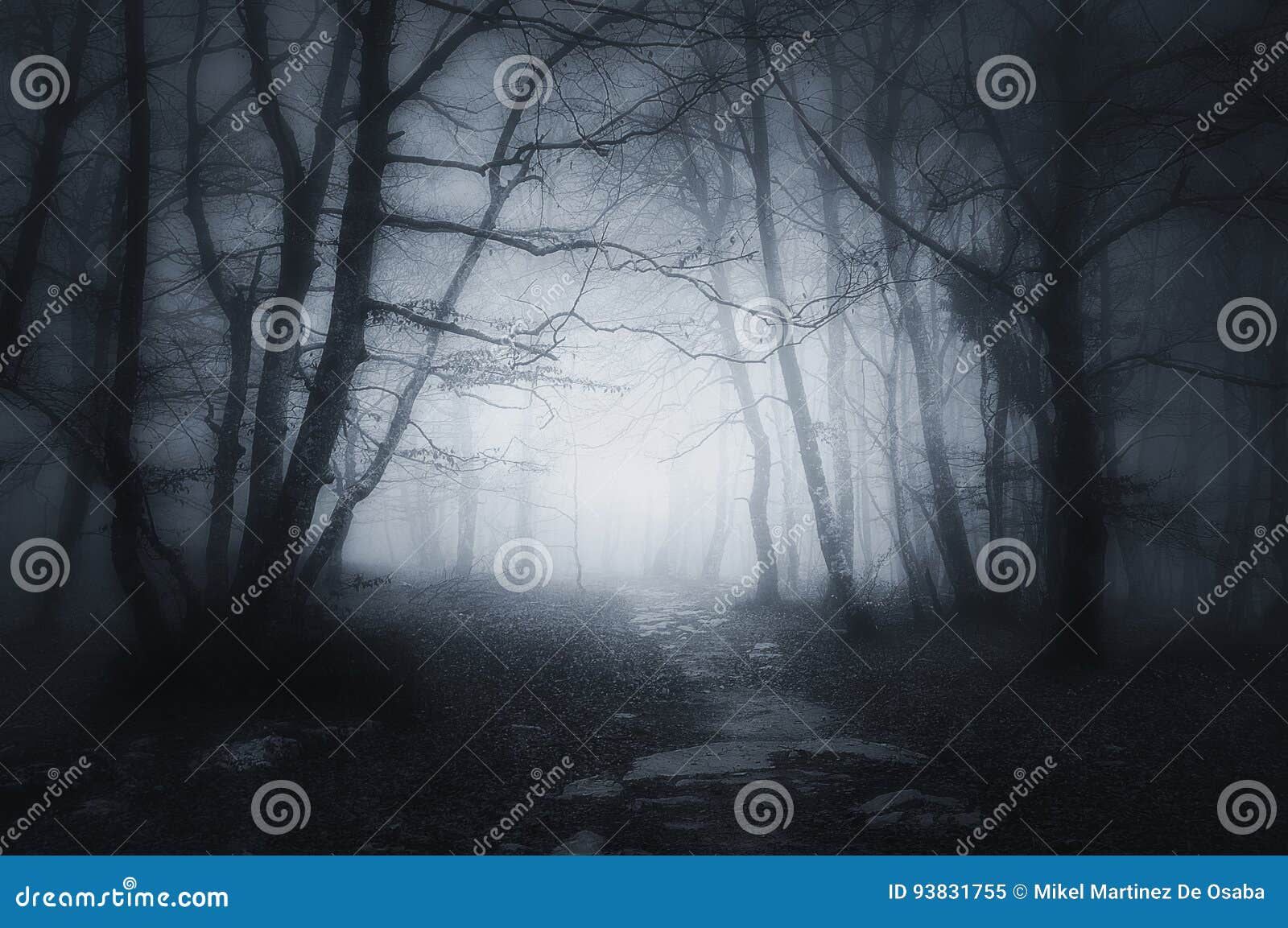 Path in Dark and Scary Forest Stock Image - Image of foggy, mysterious ...