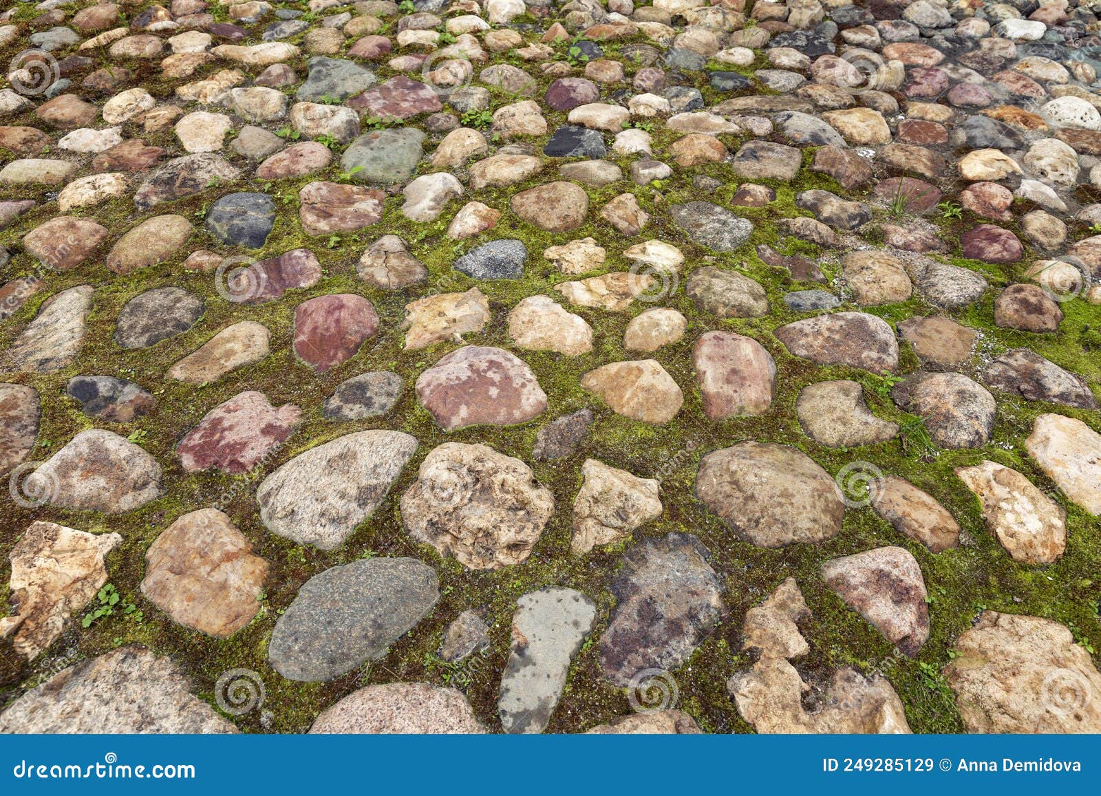 Path of Decorative Stones on the Lawn. Landscaping. Background Stock ...