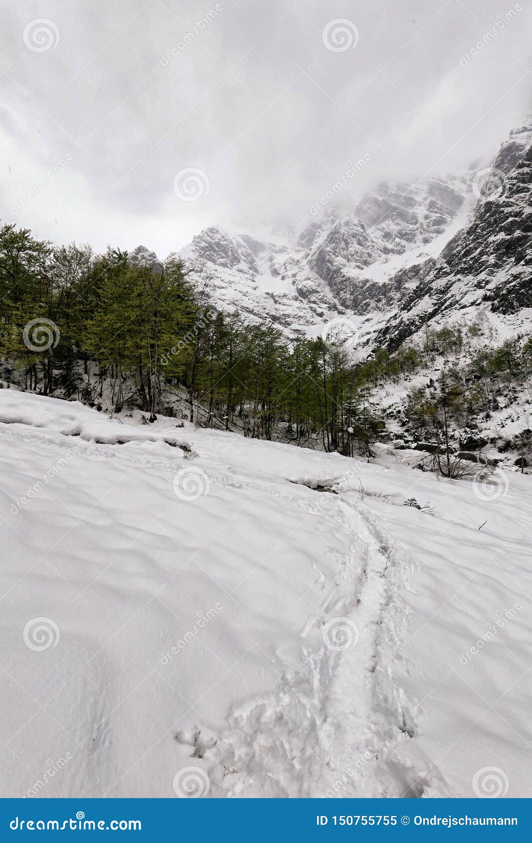 Path in Deep Snow on Hillside by the Forest Stock Image - Image of deep ...