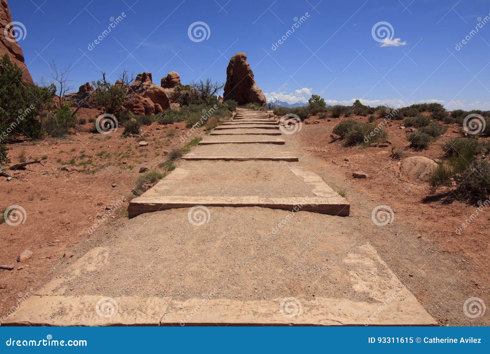 Path in the Desert stock image. Image of closeup, hiking - 93311615